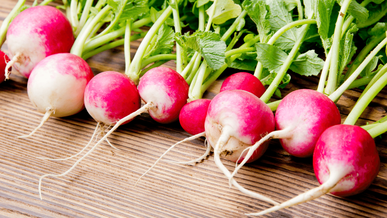 Hamilelikte Turp Yenir Mi? - Annegram.com